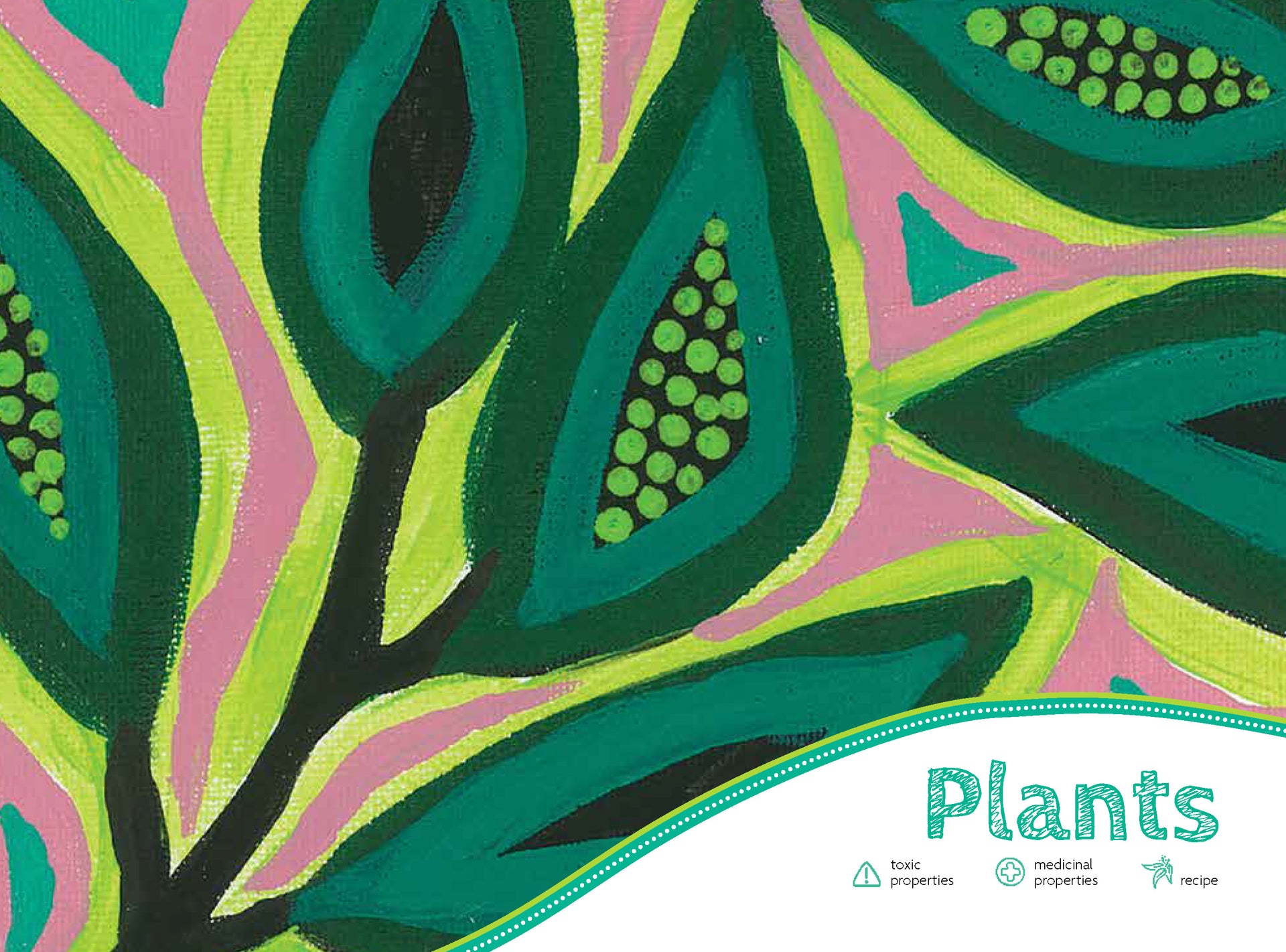 Bush Tukka Guide 2nd Edition – Kakadu Plum Co